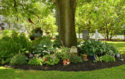 You can garden in shade-even under a tree! - Buffalo-NiagaraGardening.com