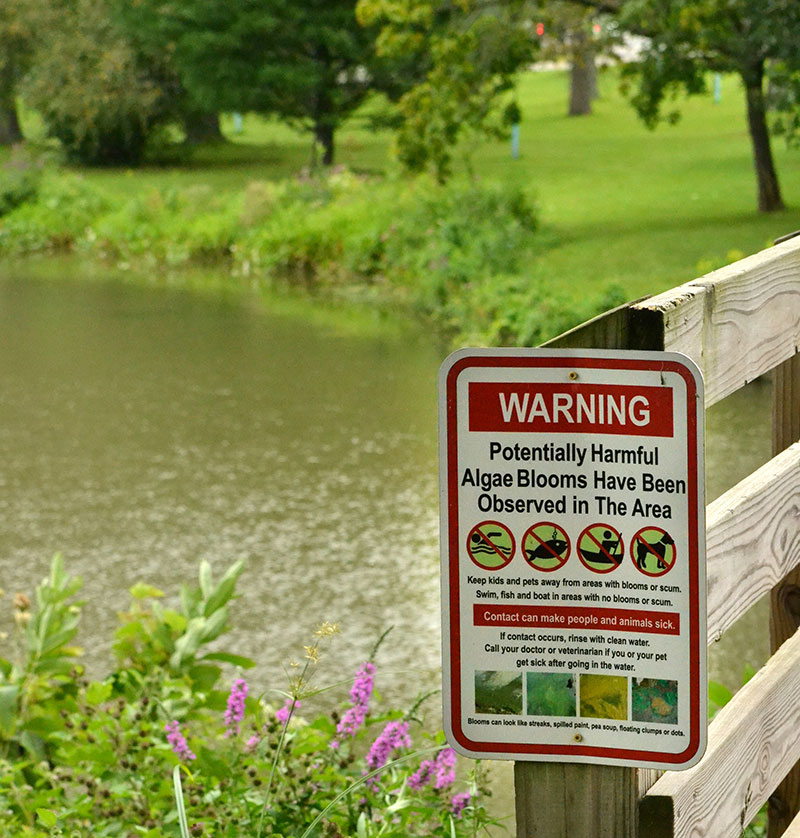 Gardeners: Help prevent harmful algal blooms in Western New York ...