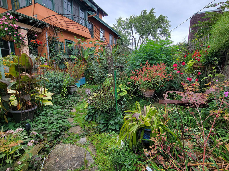 Keep your garden looking colorful into autumn - Buffalo ...