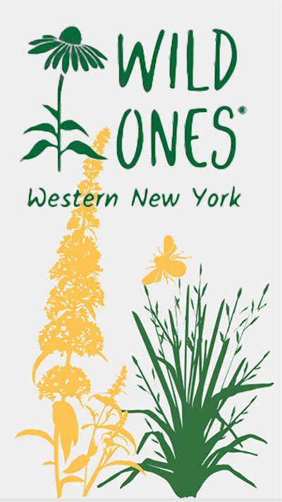 Wild Ones WNY: see the video on engaging community - Buffalo ...